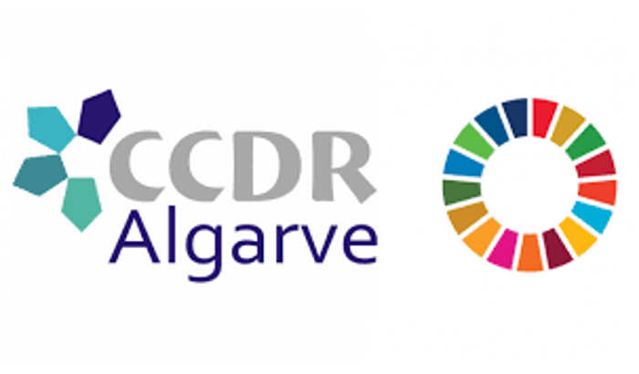 CCDR Algarve tem de novo Chefia de Divisão de Recursos Humanos | CCDR ...
